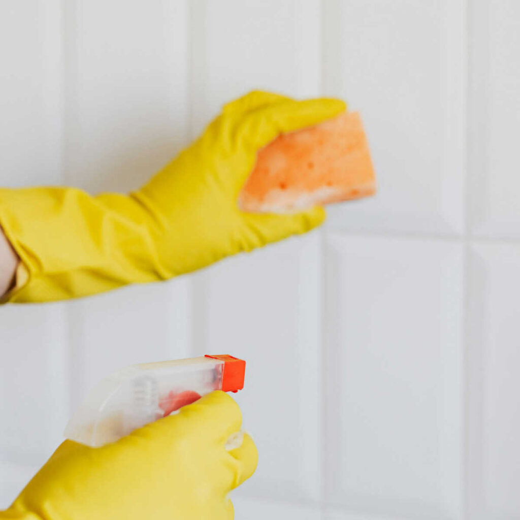 Non-Toxic Mold Remover: How To Get Rid of Mold Naturally